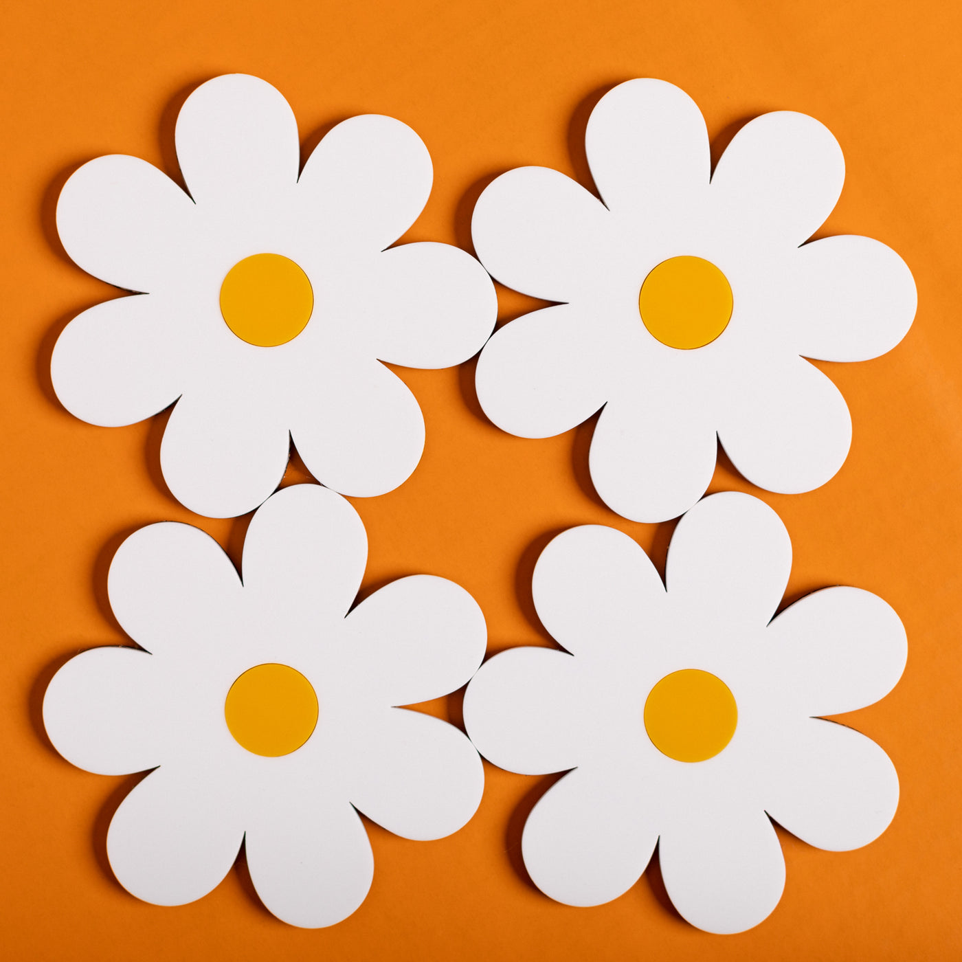 Daisy Coasters Pack of 4