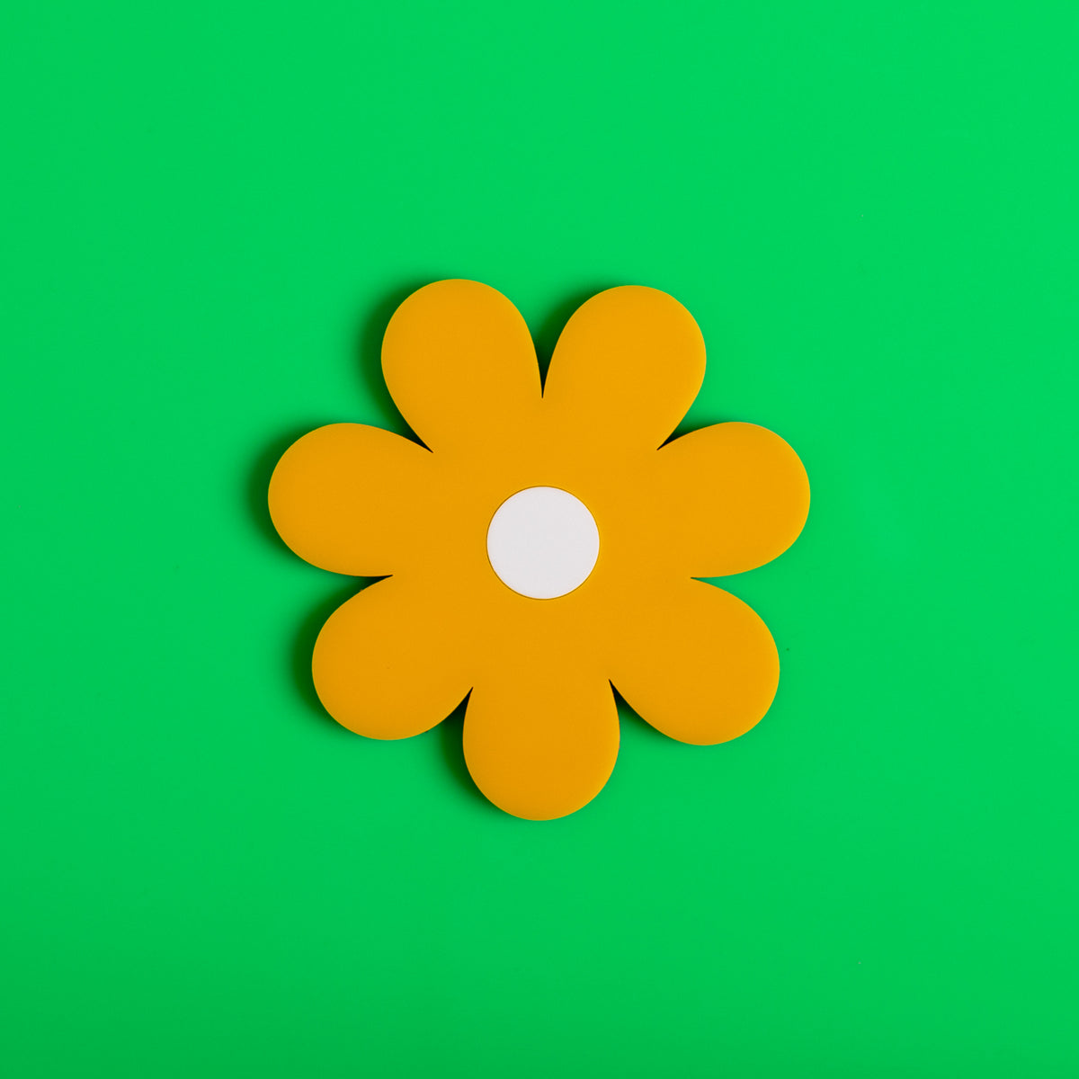 Daisy Coasters Pack of 4