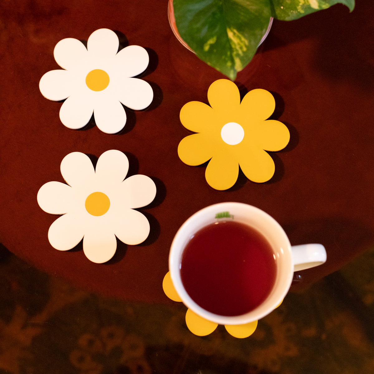 Daisy Coaster Pack of 2